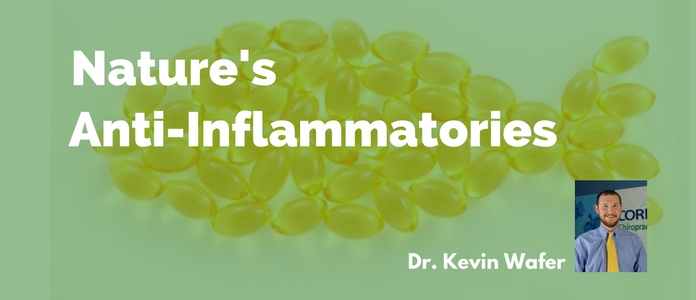 Nature's Anti-Inflammatories - Apex Chiropractic